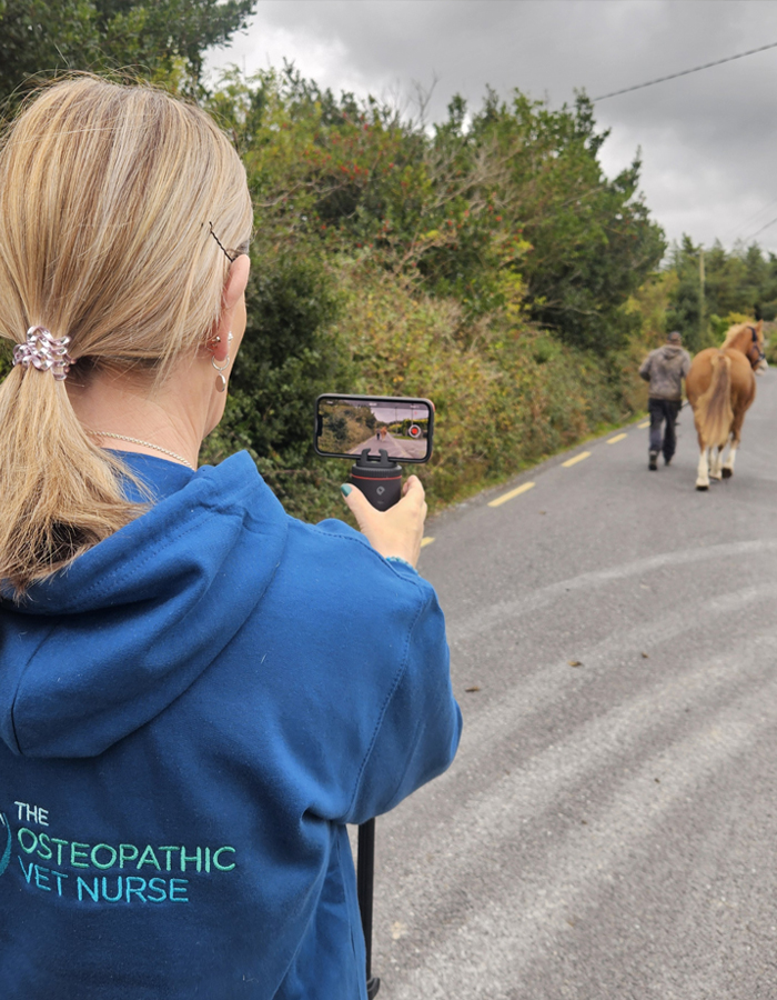 Sleip Objective Gait Analysis - The Osteopathic Vet Nurse Sleip Objective Gait Analysis - The Osteopathic Vet Nurse